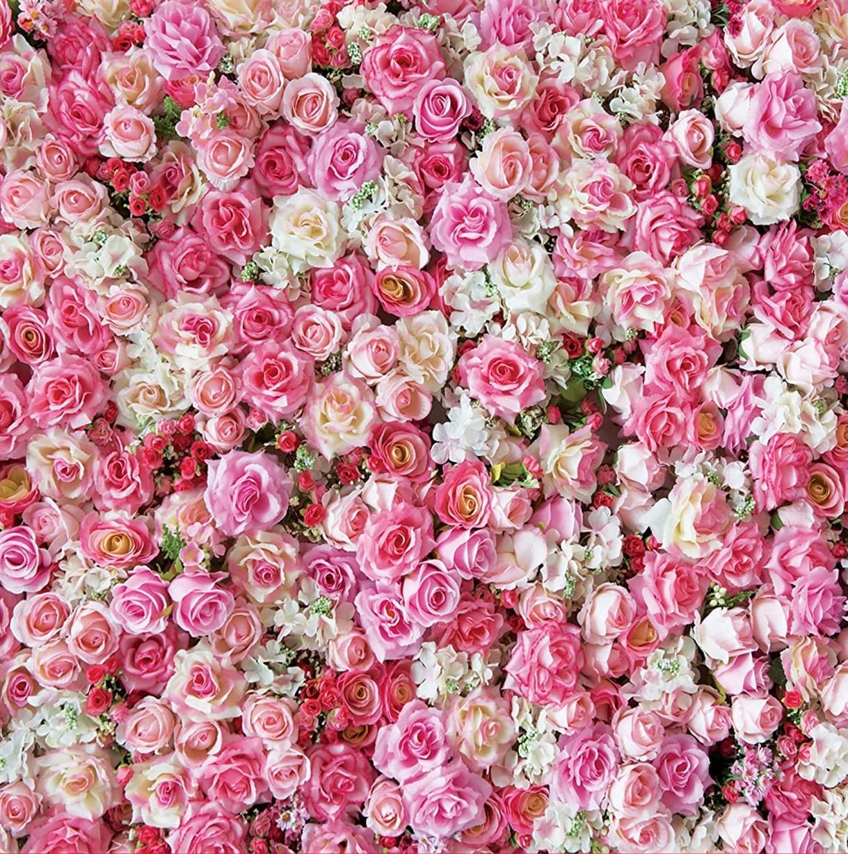 Roses Photo Backdrop | Mutton Party and Tent Rental
