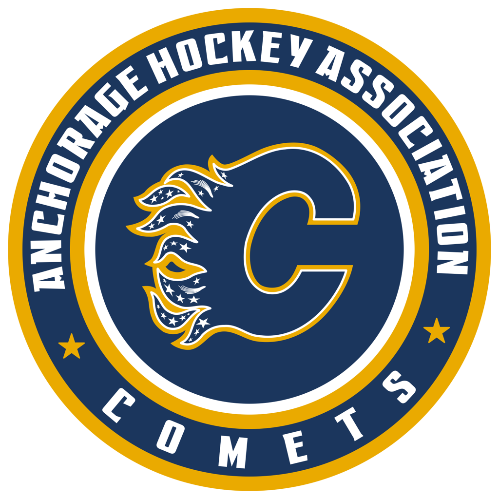 2008 Houston Comets Logo