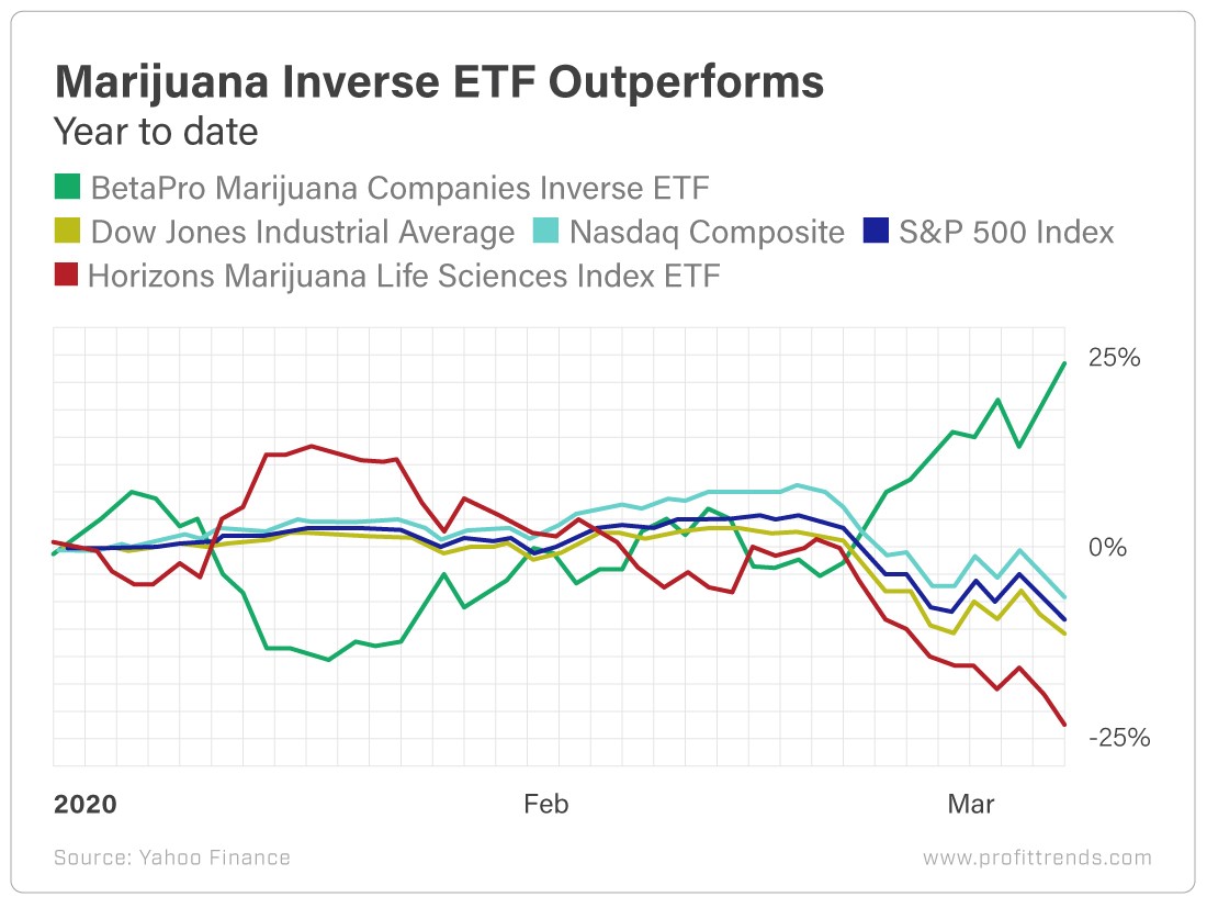 The One Cannabis Investment Hedge You Need in This Market Crash – The ...