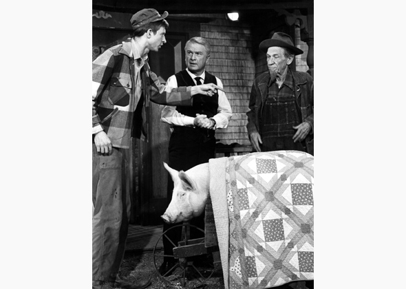 Celebrate National Pig Day With These 8 Famous Pigs