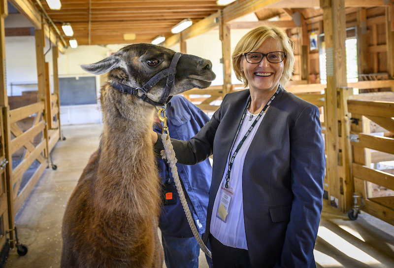 Think you know Pilgrim Psychiatric Center? Go inside to see how ...