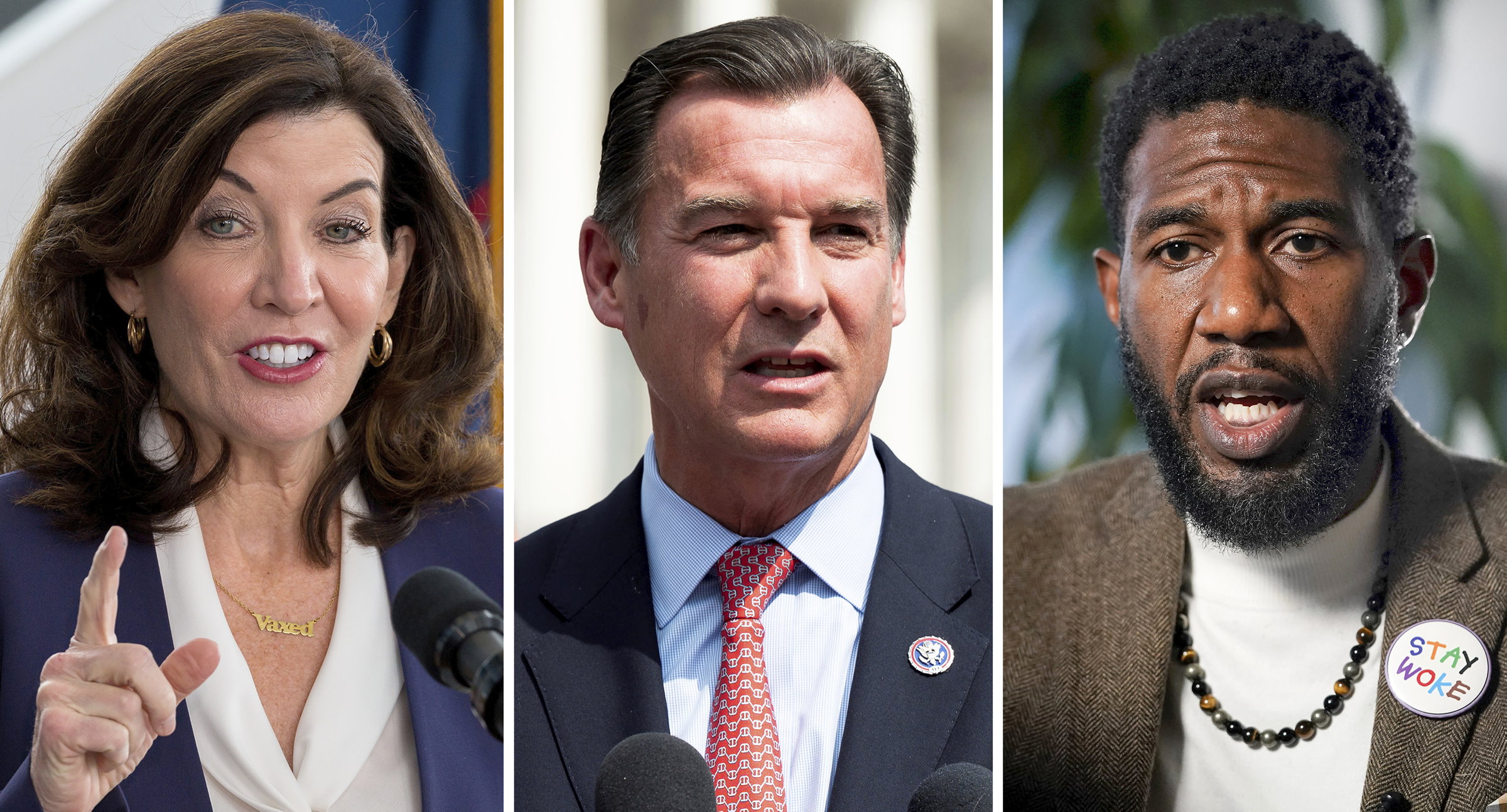 Democrats for NY Governor: The issues, resumes and pitches - Newsday