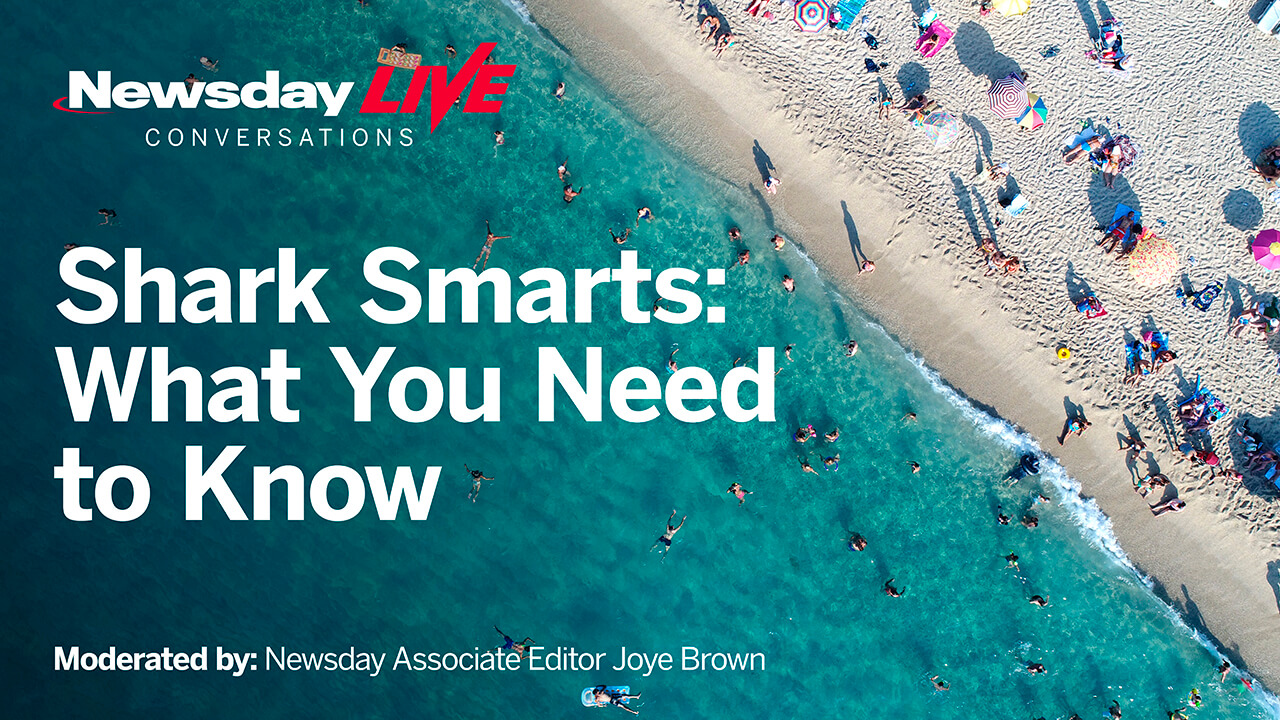 Shark Smarts: What You Need to Know - Newsday