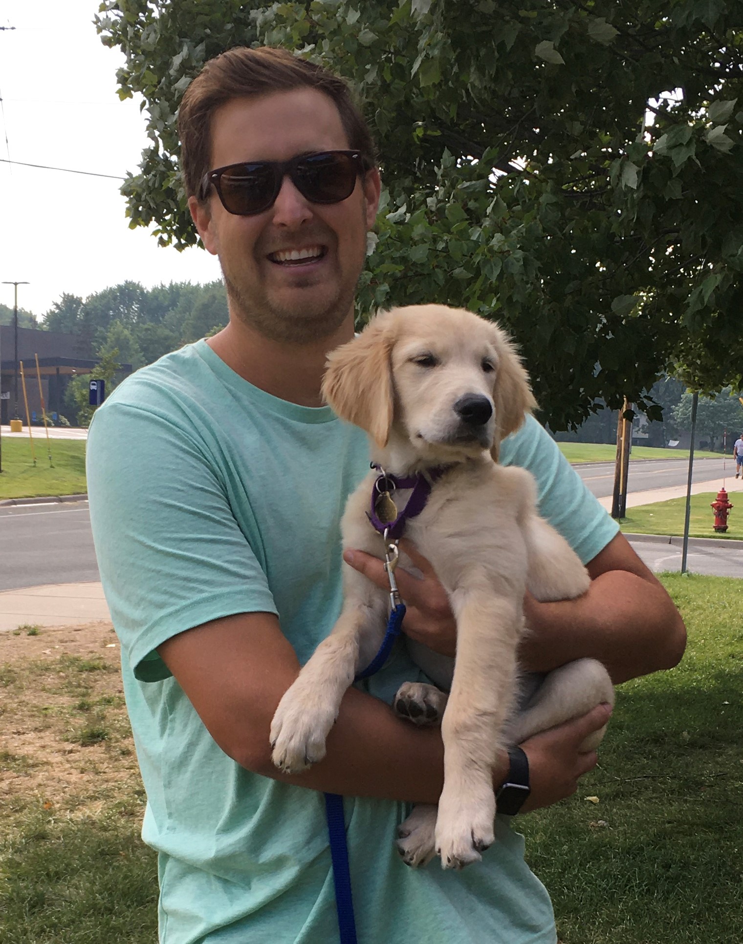 Meet Linus 21-128 - Retrieve a Golden of the Midwest