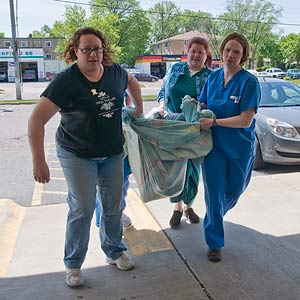 Meet Grizzly Bear (Fabio) 10-157 - Retrieve a Golden of the Midwest