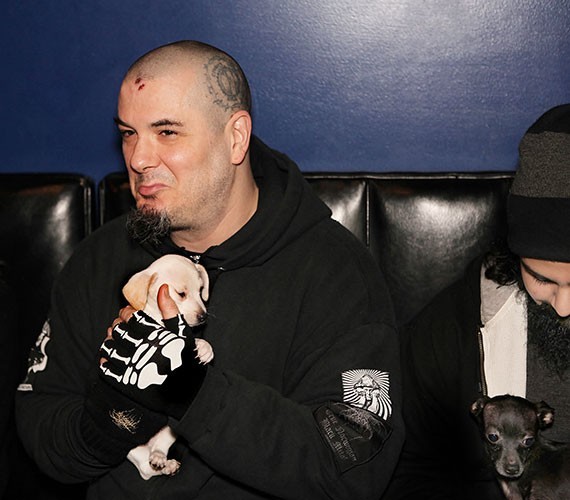 Musicians Pose With Needy Pets To Help Them Find A Home