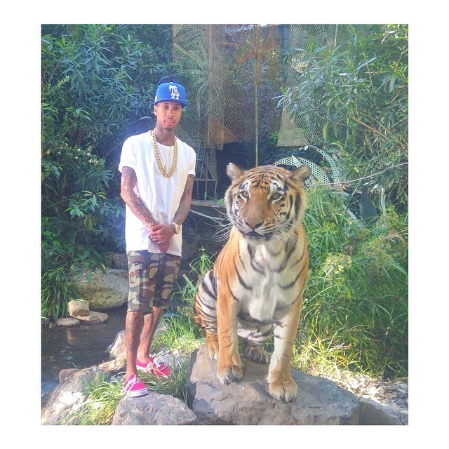 A Tiger Was Just Rescued From Rapper Tyga's Backyard