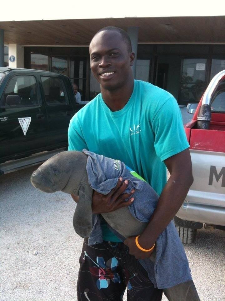 Meet The Man Saving Belize’s Manatees, One Baby At A Time – Caye ...
