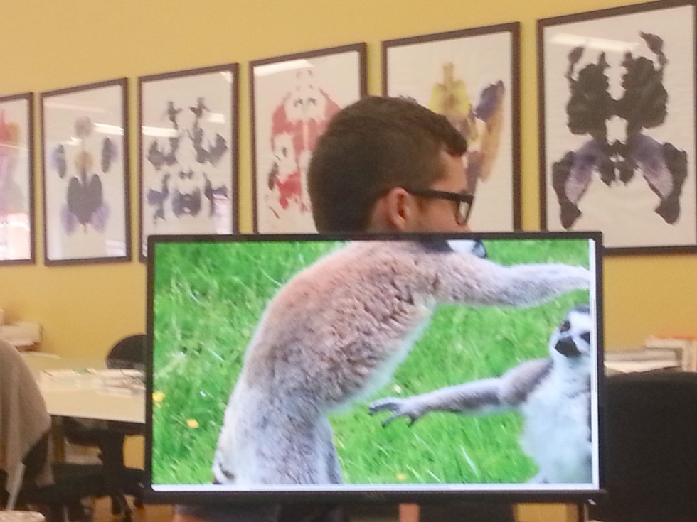 "Office Safari" Is The Best Internet Meme Since Doge