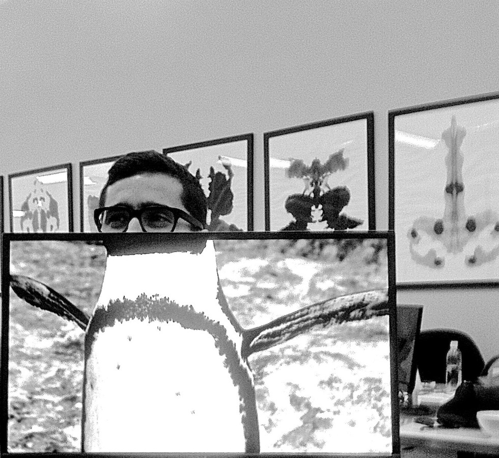 "Office Safari" Is The Best Internet Meme Since Doge