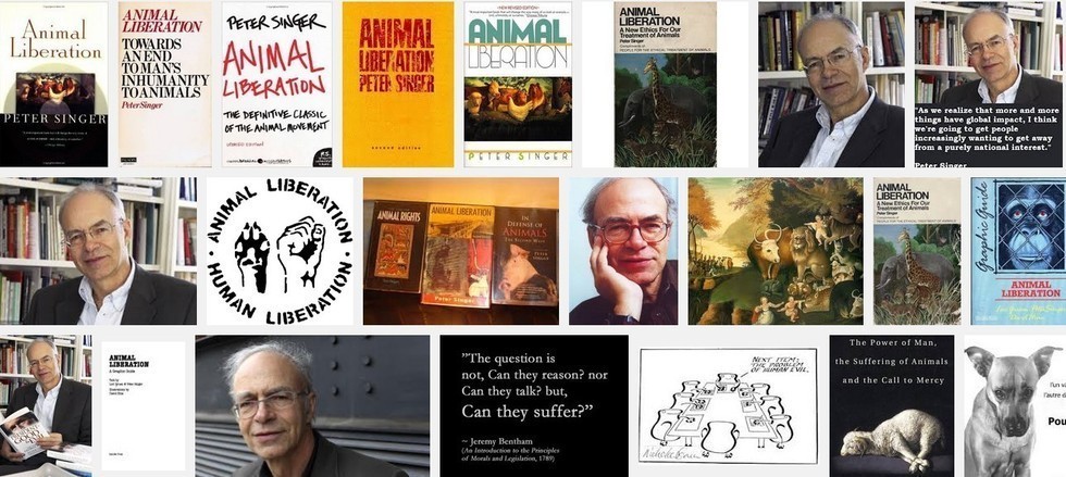 Peter Singer On The Animal Rights Revolution 4 Decades After He Started It