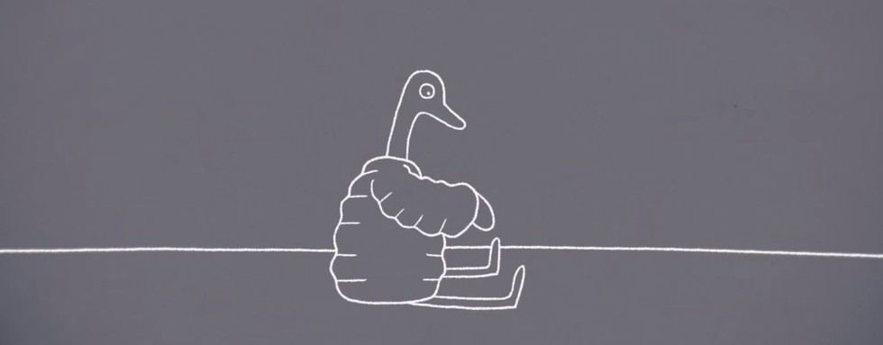 Patagonia’s New Ad Says No To Goose Abuse