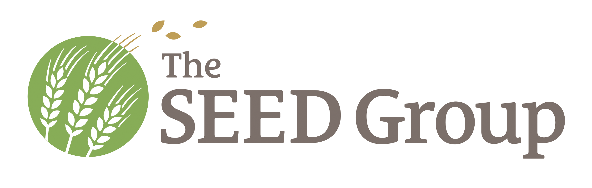 The SEED Group