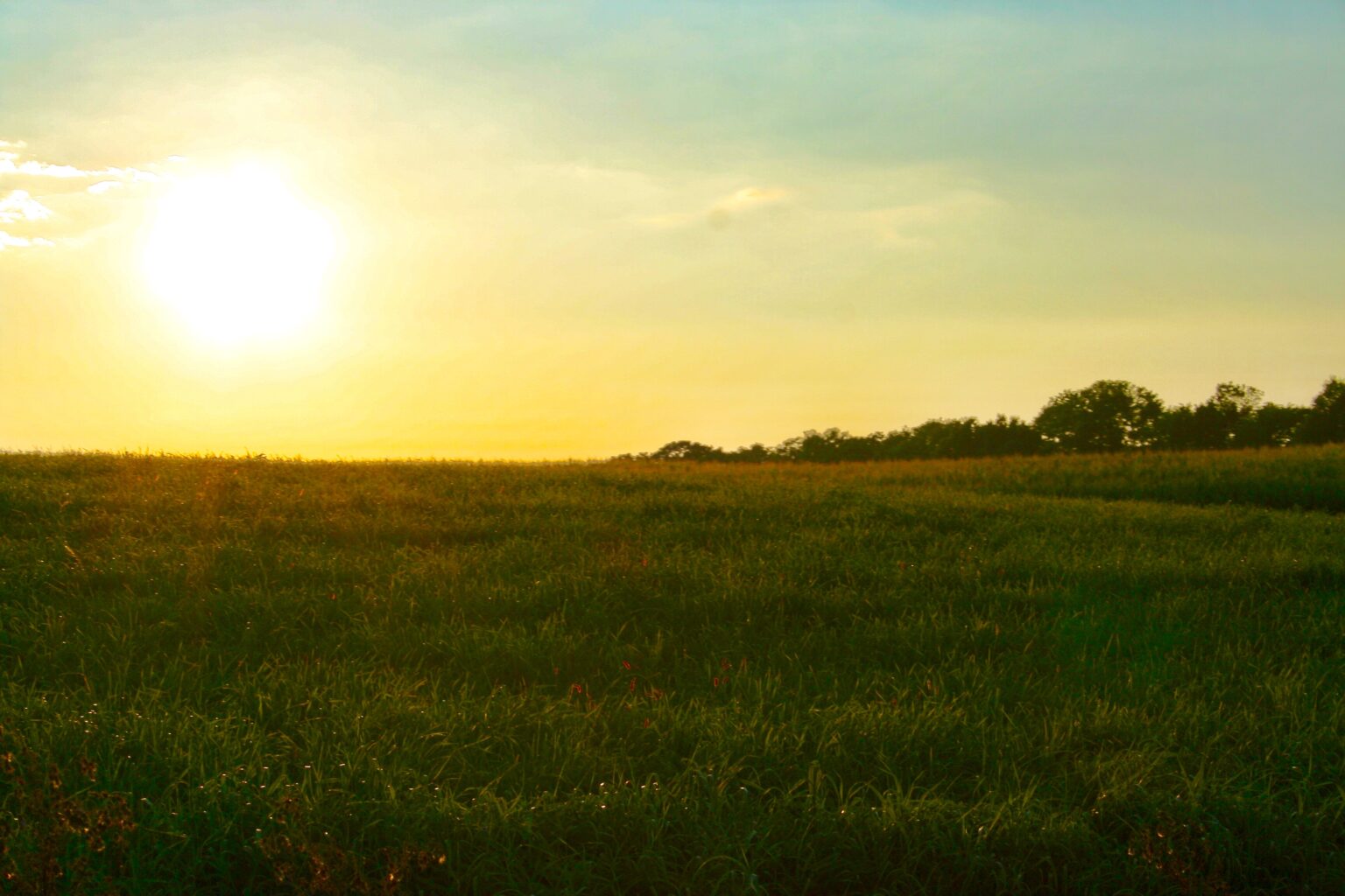 Home - Reformed Journal