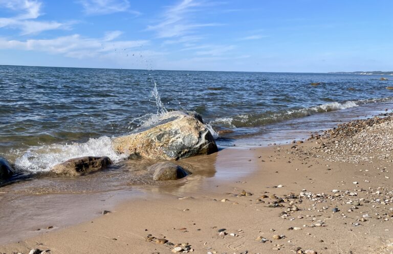 Behold the Bivalves: An Appreciation - Reformed Journal