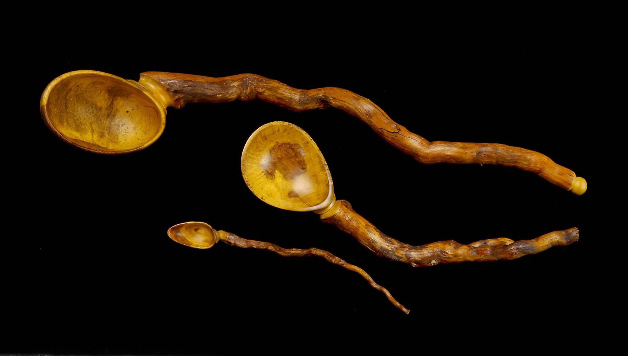 Algerita Family, 1998 by Norm Sartorius Norm Sartorius | ArtsDot.com