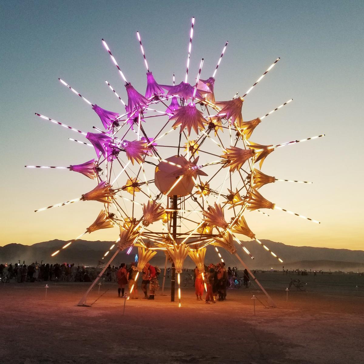 Embrace the Dust: A Burning Man Journal | Smithsonian American Art Museum