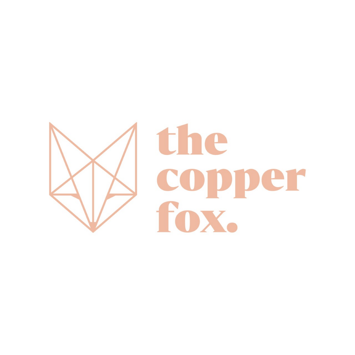 Home - The copper fox salon