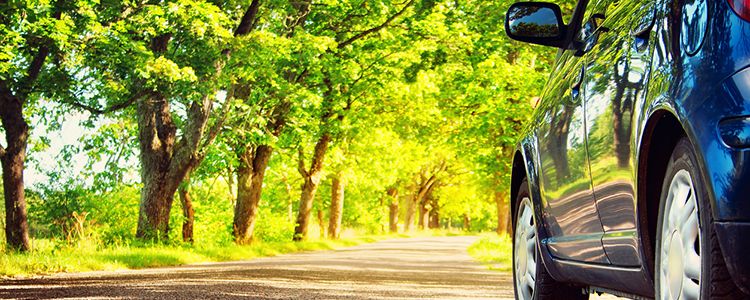 Farmers Signal App: Is It Worth It? | SmartFinancial