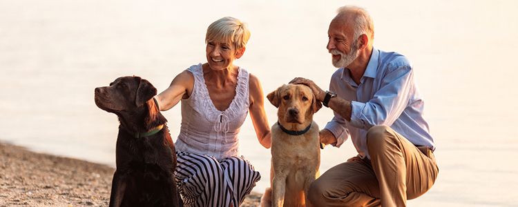 Medicare Advantage vs. Medicare Supplement: What's the Difference ...