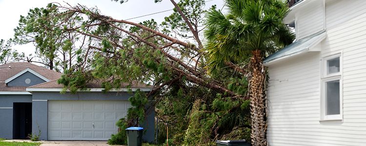 Does My Homeowners Insurance Cover Damage to My Neighbor's Property ...