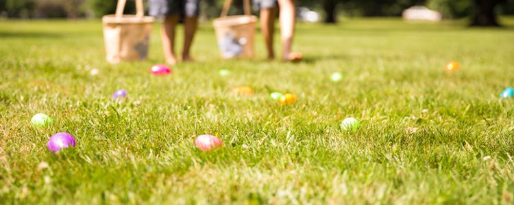 Homeowners Insurance for Easter Gatherings | SmartFinancial