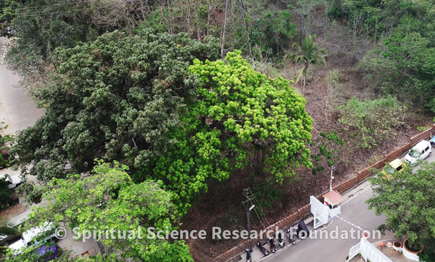 Spiritual wonder of the world - Spiritual Science Research Foundation