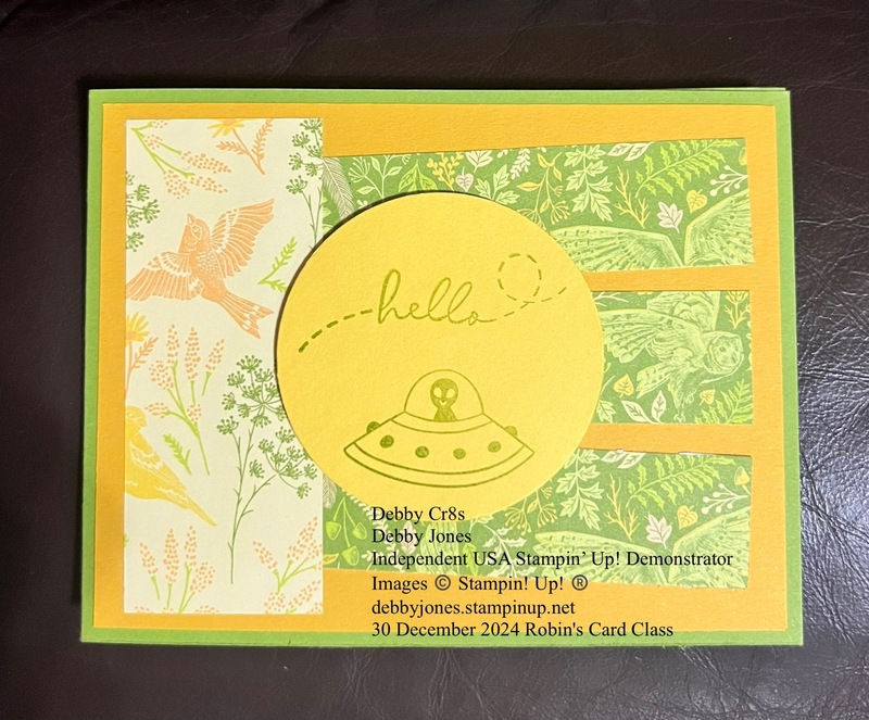 30 December 2024 Robin’s Card Class Flying By | TheseAreMyStamps