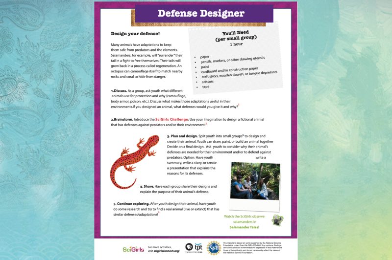 Defense Designer | PBS TPT Learn