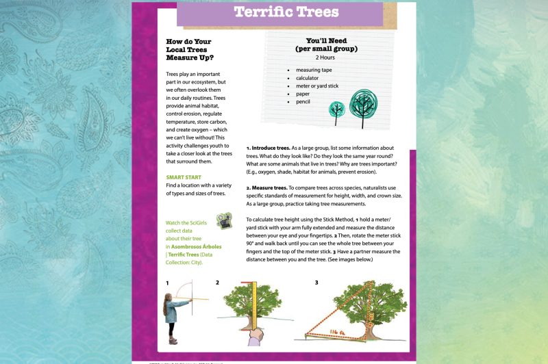 Terrific Trees | PBS TPT Learn
