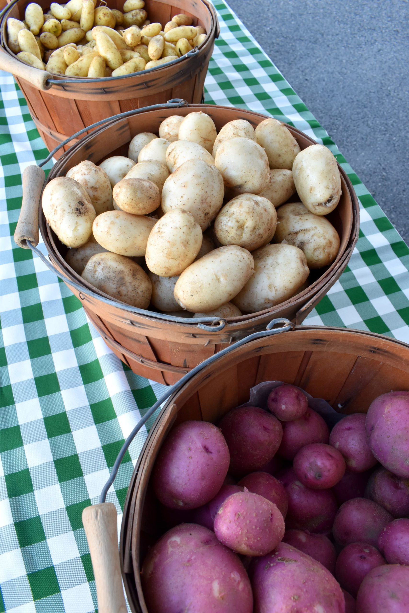 Dog Costume Contest - Visit Kosciusko County