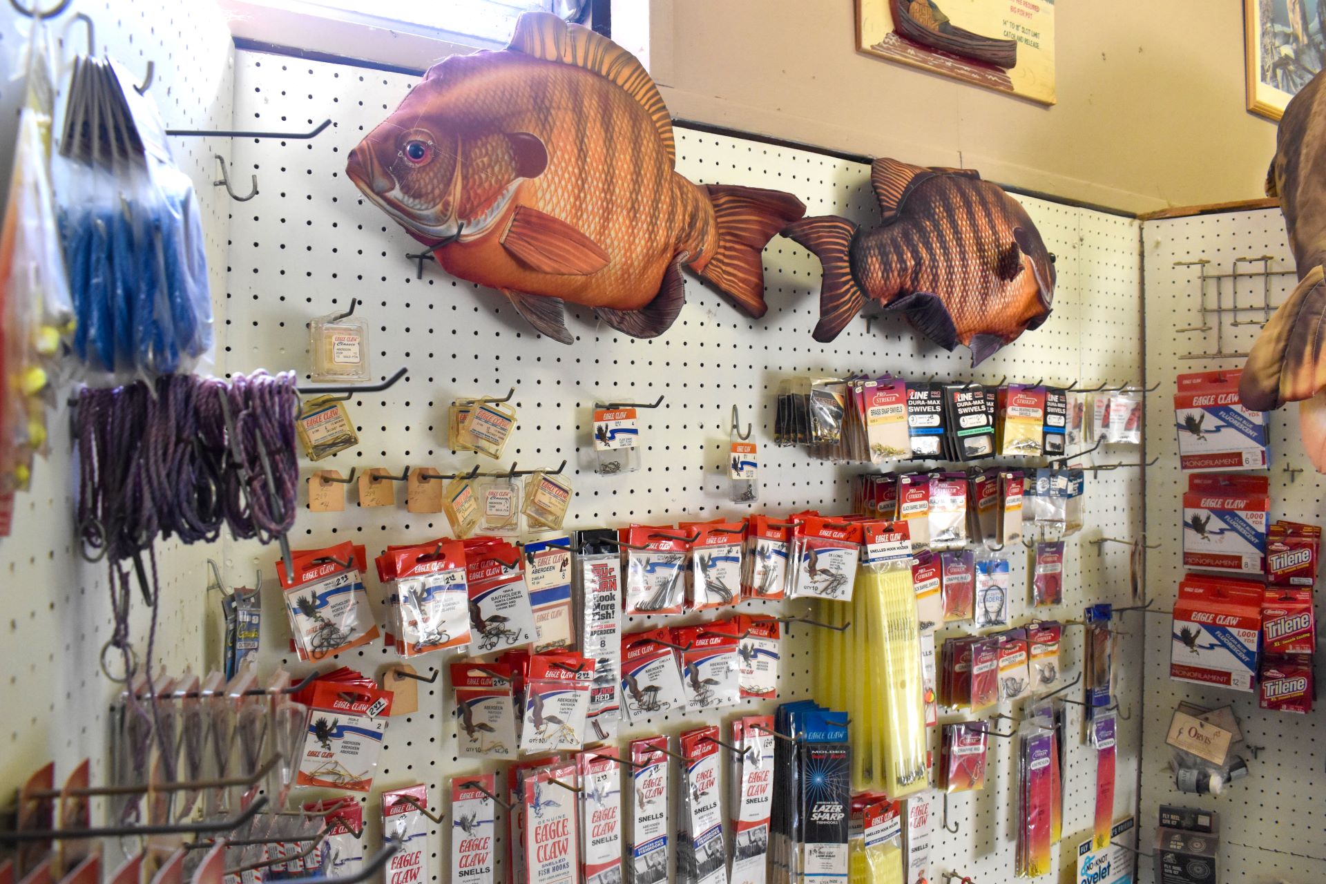 Chapman Lake Marina - Visit Kosciusko County