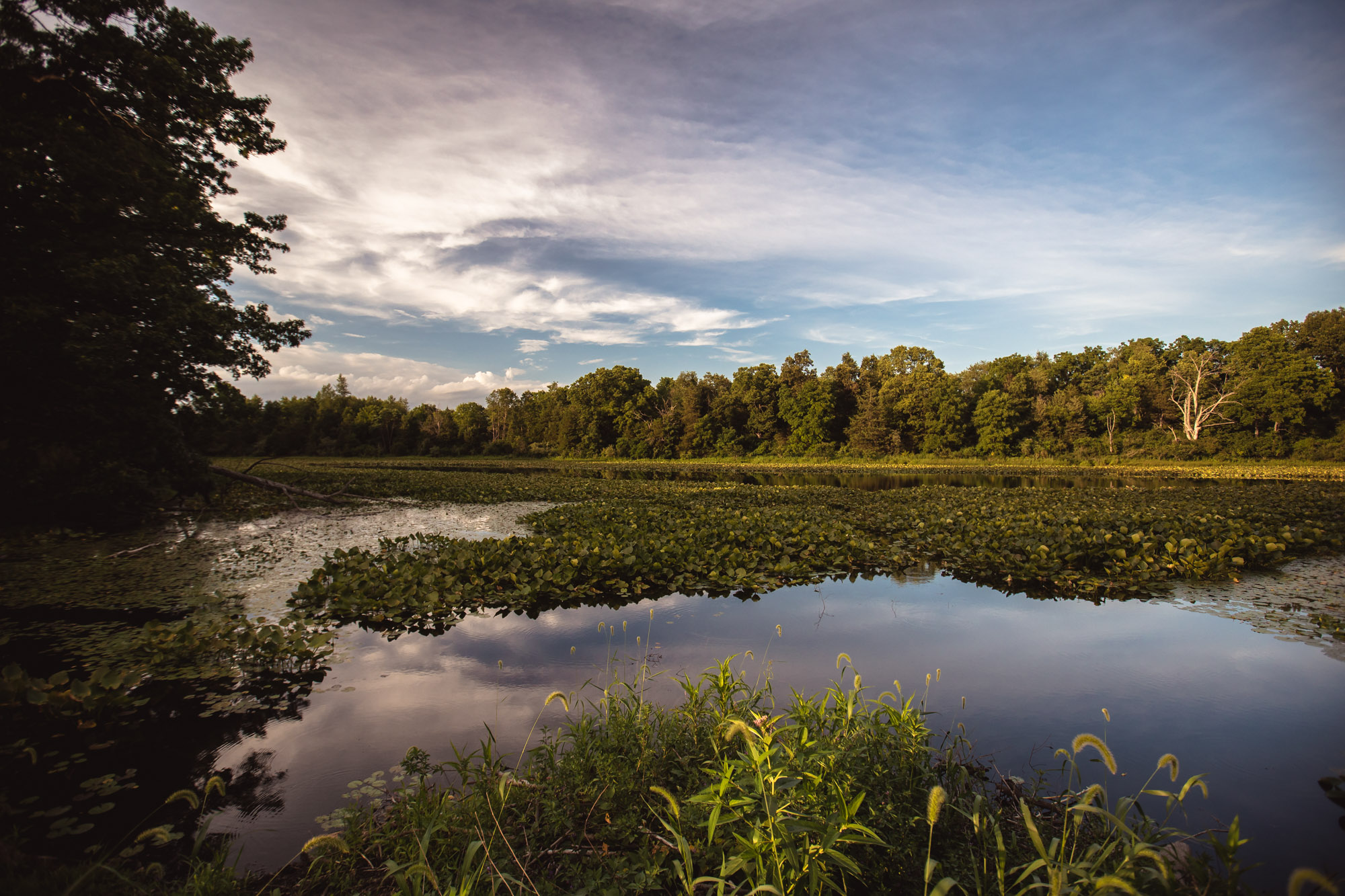 Pisgah Marsh Area and Boardwalk - Visit Kosciusko County