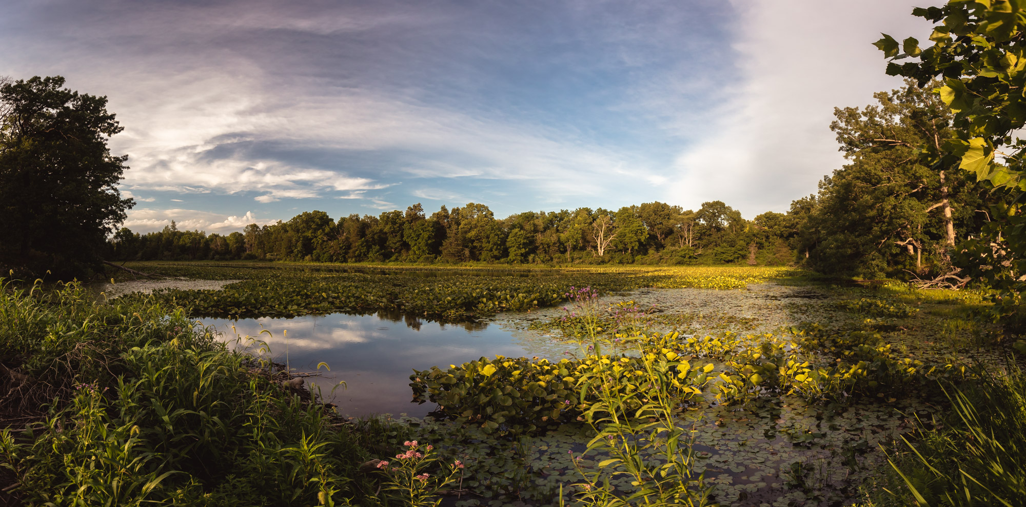 Bird Watching in Kosciusko County - Visit Kosciusko County