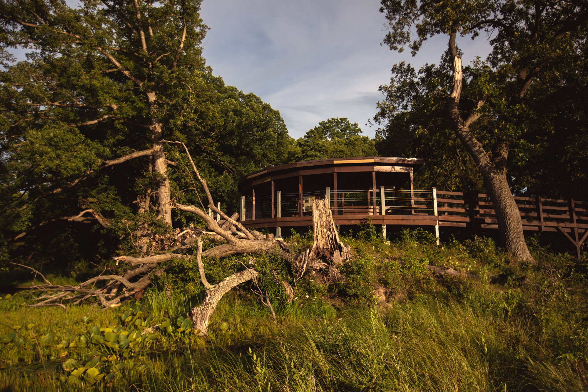 Pisgah Marsh Area and Boardwalk - Visit Kosciusko County