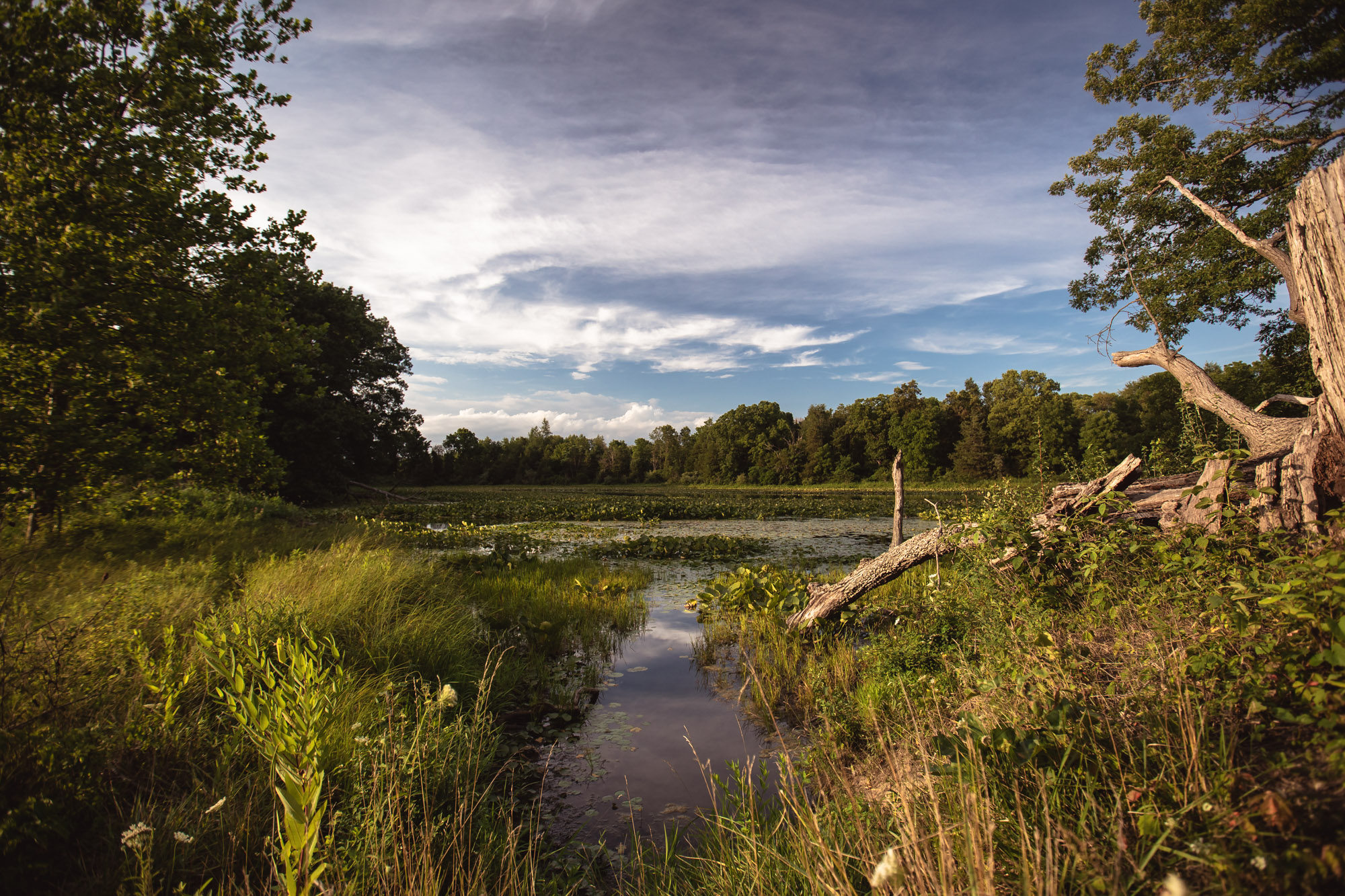 Pisgah Marsh Area and Boardwalk - Visit Kosciusko County