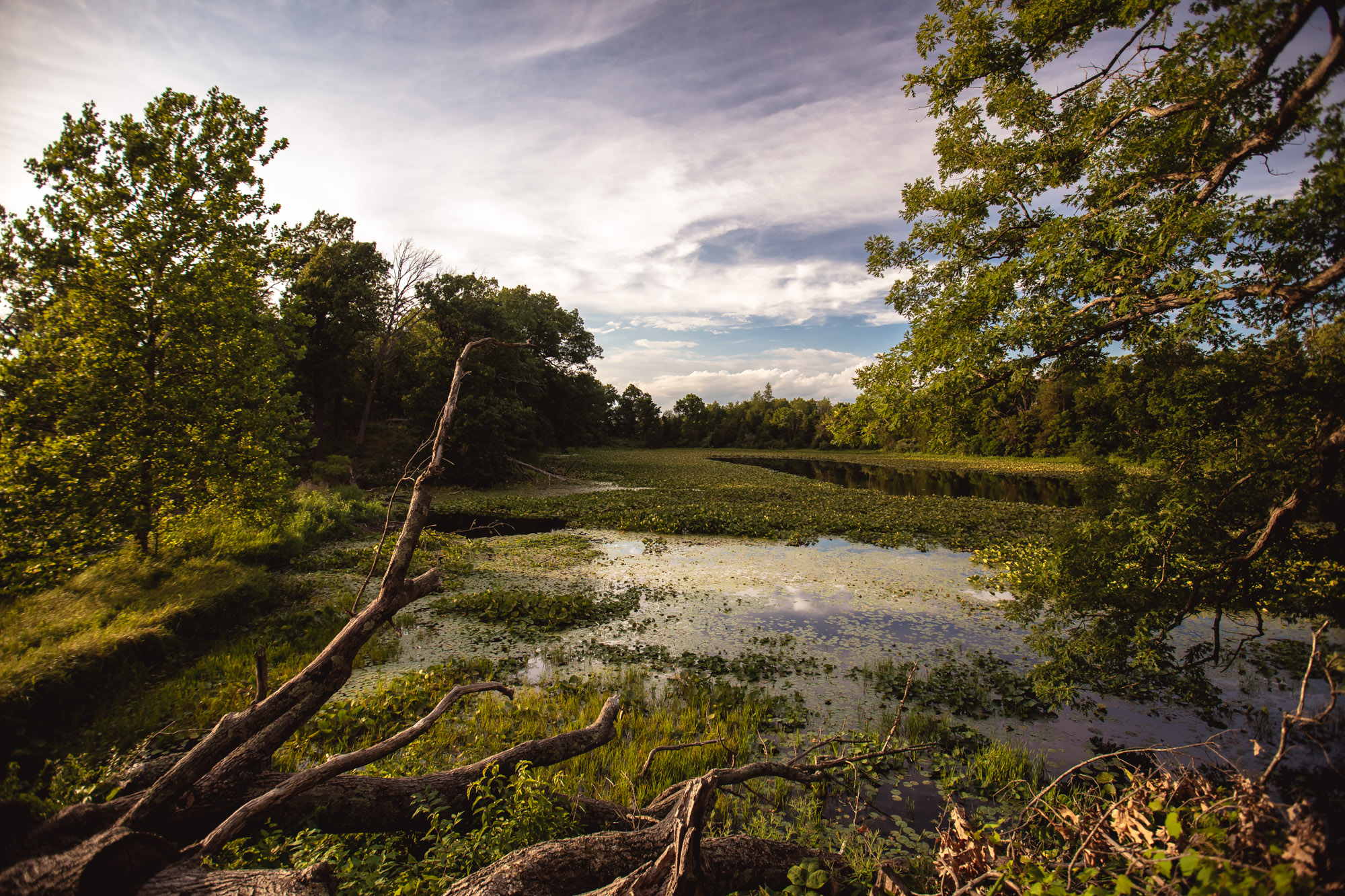 Pisgah Marsh Area and Boardwalk - Visit Kosciusko County
