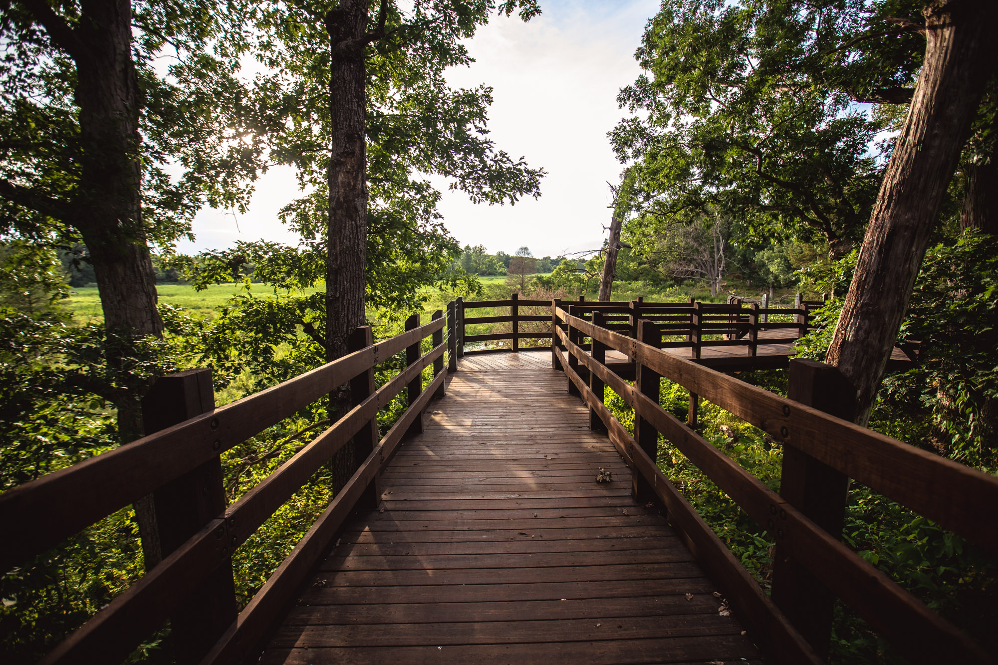 Pisgah Marsh Area and Boardwalk - Visit Kosciusko County