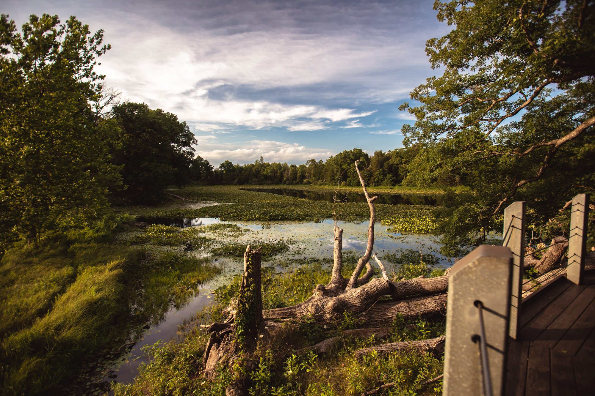 Pisgah Marsh Area and Boardwalk - Visit Kosciusko County