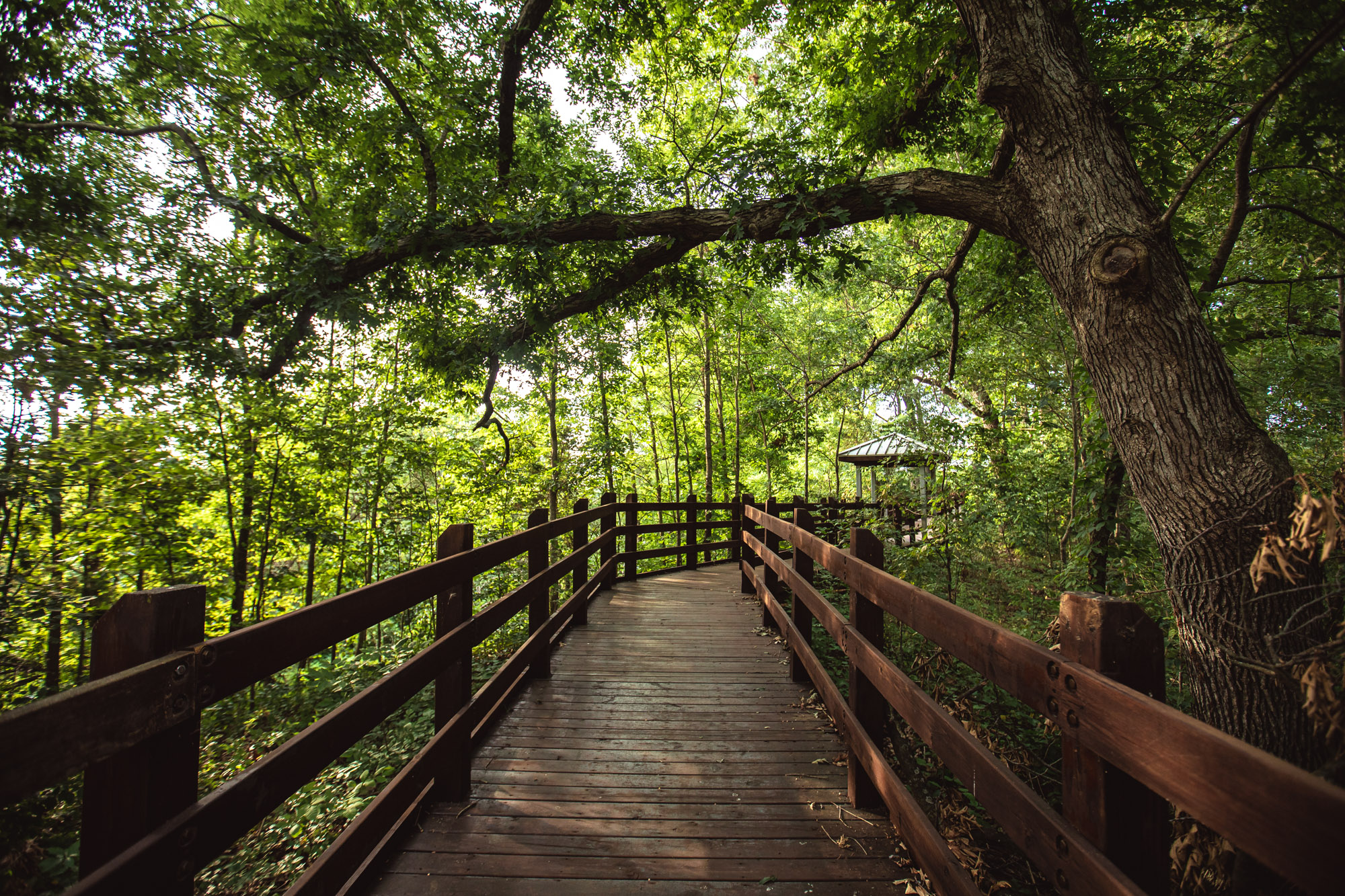 Pisgah Marsh Area and Boardwalk - Visit Kosciusko County