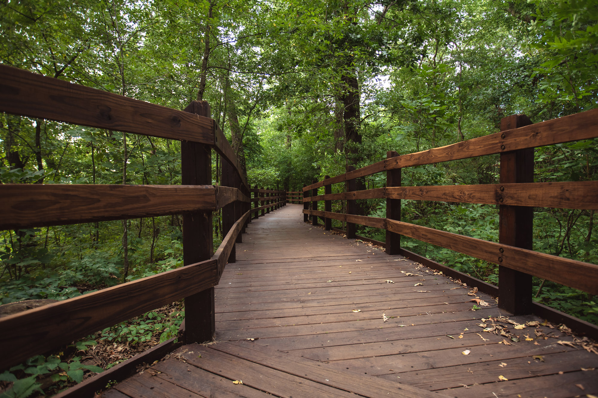 Pisgah Marsh Area and Boardwalk - Visit Kosciusko County
