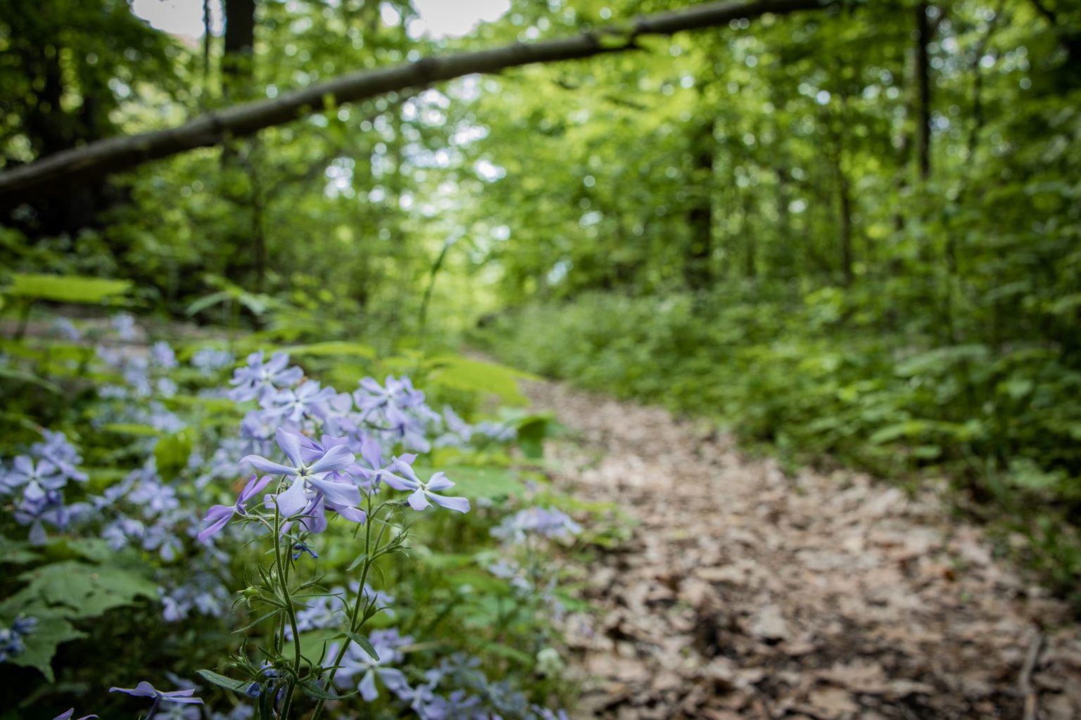 Leesburg - Visit Kosciusko County