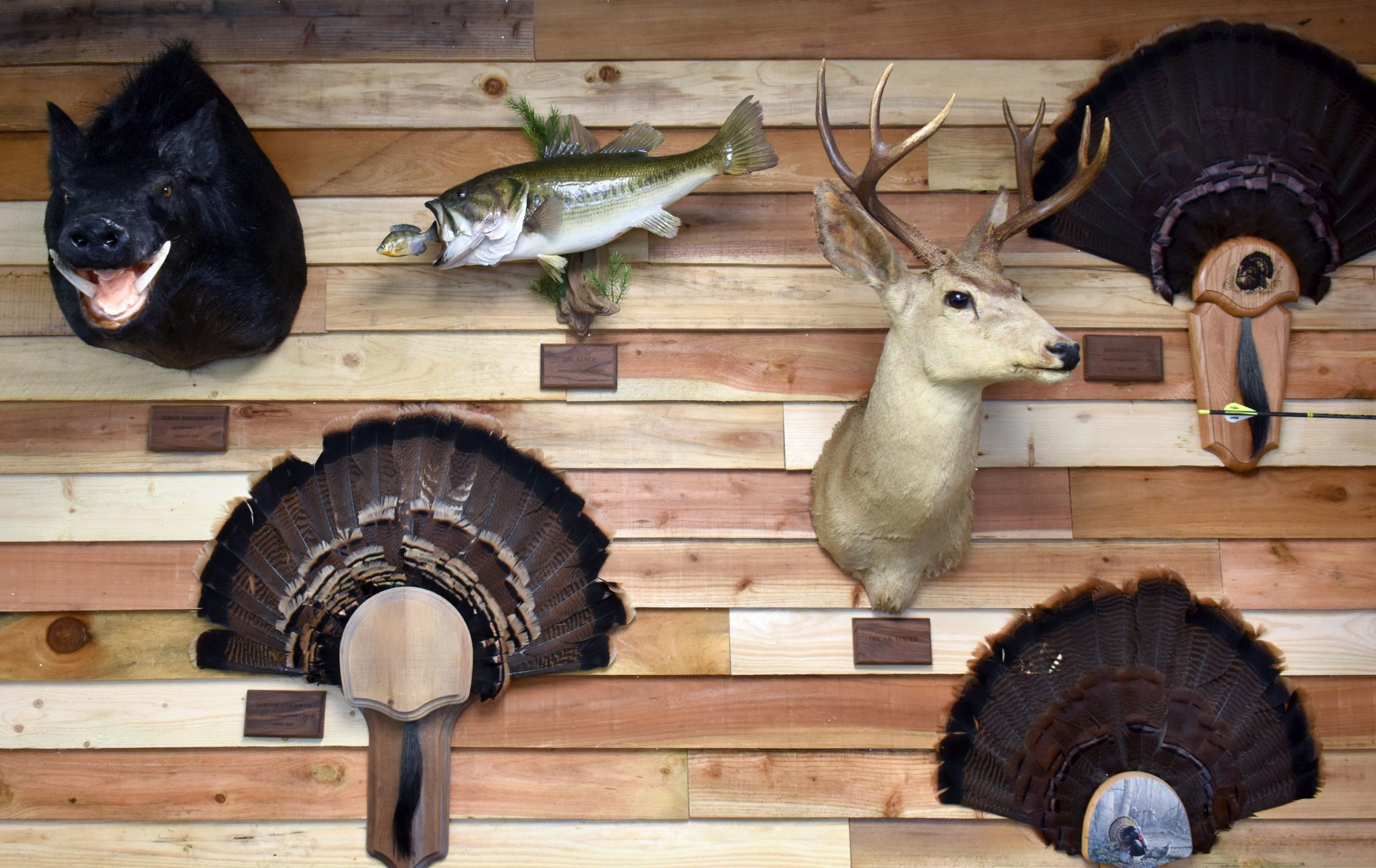 Sawyer's Country Edge - Visit Kosciusko County