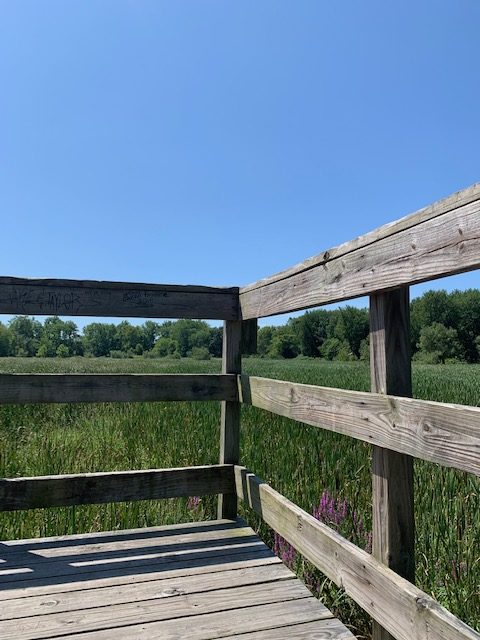 Beyer Farm Boardwalk Trail - Visit Kosciusko County