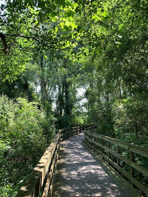 Beyer Farm Boardwalk Trail - Visit Kosciusko County