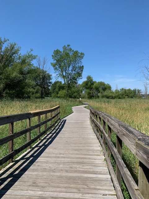 Beyer Farm Boardwalk Trail - Visit Kosciusko County