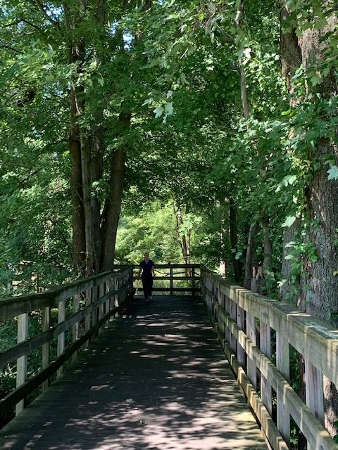 Beyer Farm Boardwalk Trail - Visit Kosciusko County