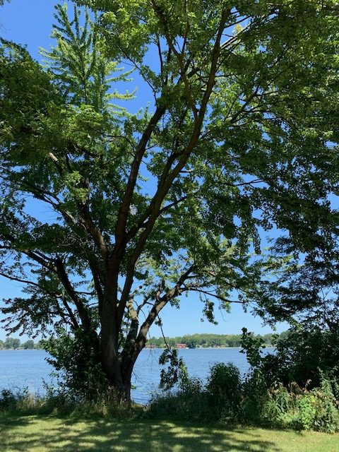 Beyer Farm Boardwalk Trail - Visit Kosciusko County