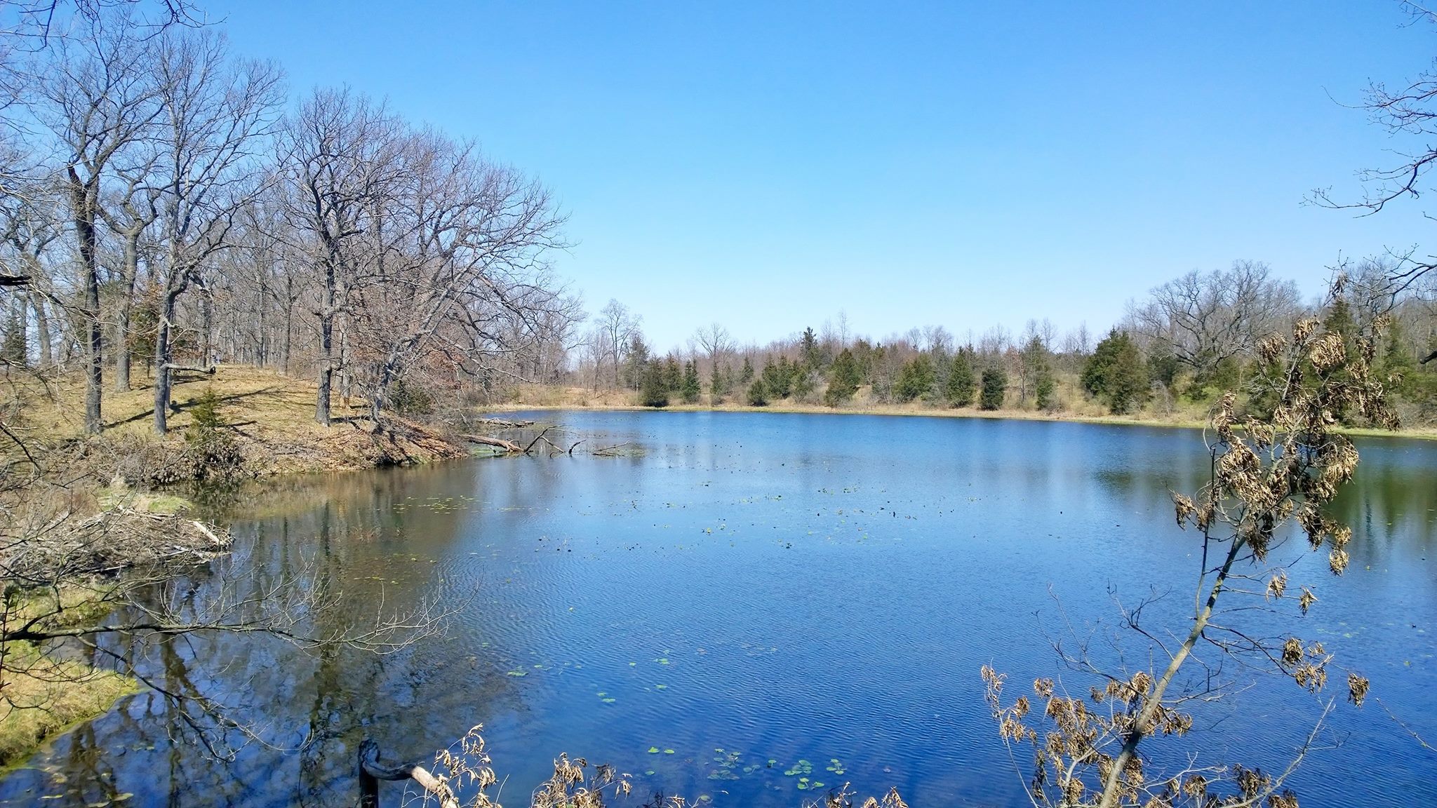 Pisgah Marsh Area and Boardwalk | Visit Kosciusko County