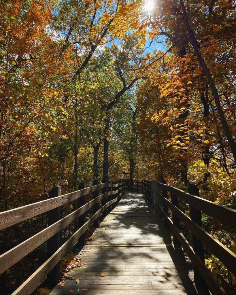 Fall Instagrammable Photo Location Guide to Kosciusko County - Visit ...